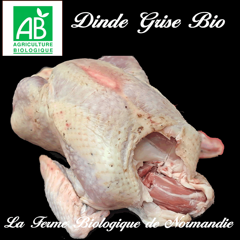 Dinde fermière grise bio