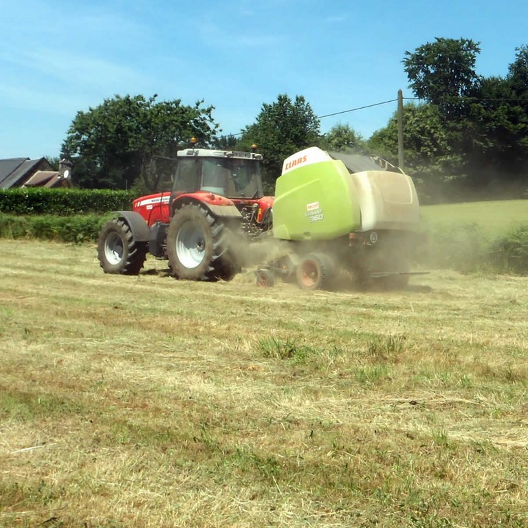 Photos de la Ferme biologique de Normandie